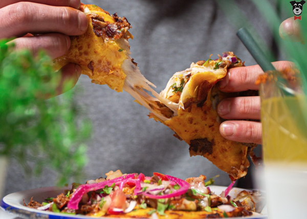 La Cochinita Loca - Torija