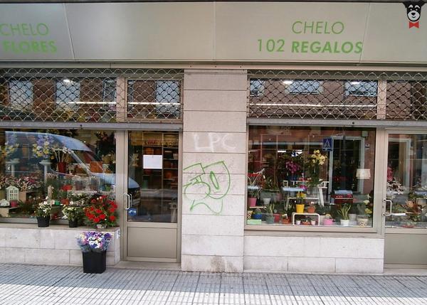 Flores Chelo