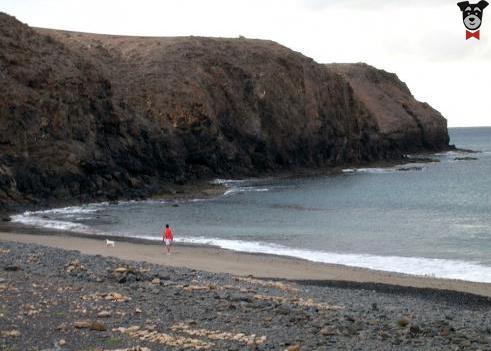 Playa de Las Coloradas