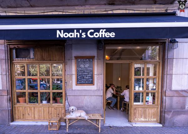 Noah’s Coffee