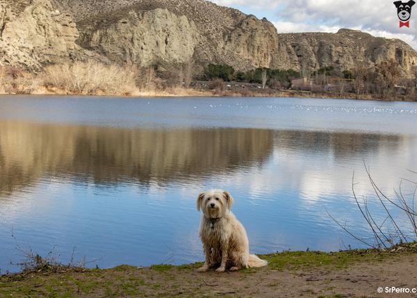Laguna del Campillo