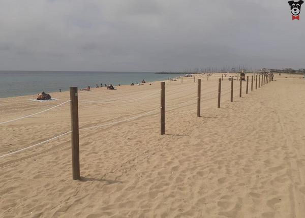 Playa de Premià de Mar