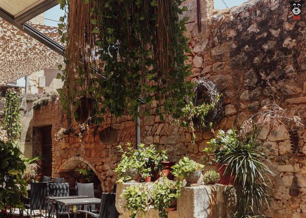 Restaurante Amazonique Santanyi