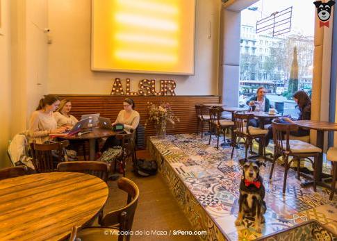 Alsur Café - Llúria