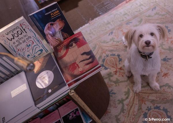 Semana De La Novela Algunos De Los Mejores Libros Con Perros Y