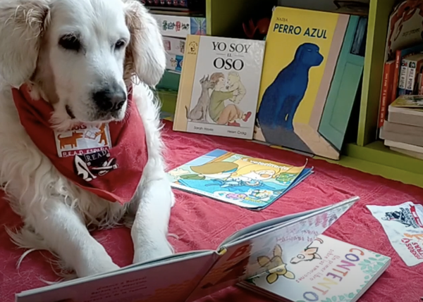 "El libro de los Perros Lectores", un maravilloso proyecto solidario ...