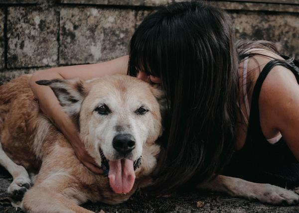 Cuando las despedidas perrunas se convierten en un bello recuerdo ...