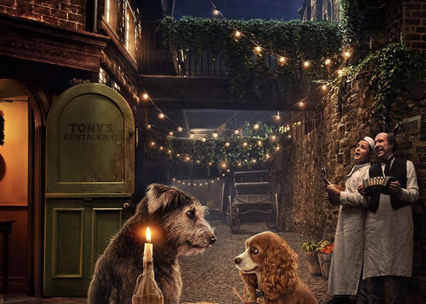 Justin Theroux comparte la historia de Monty, el perro adoptado que se ...