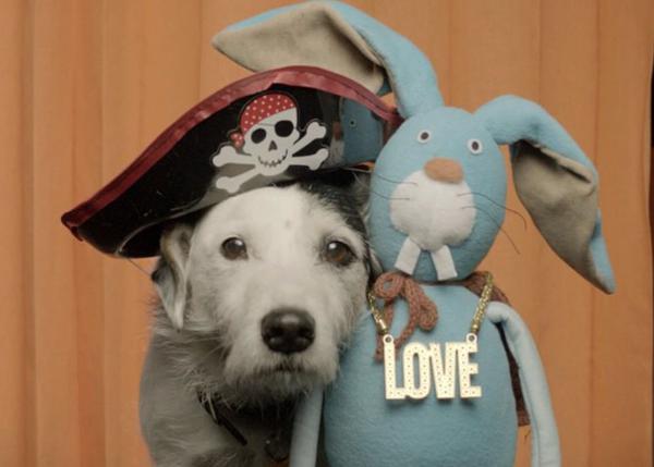 El trabajo de una entrenadora canina para cine y televisión a través de ...