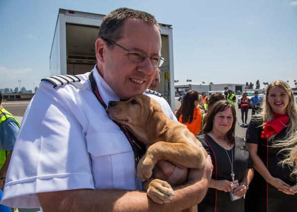 Un vuelo tan perruno como soliario: una línea aérea fleta un avión para ... Un vuelo tan perruno como soliario: una línea aérea fleta un avión para ...