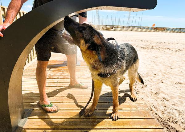 Torredembarra, un Ayuntamiento que sí apuesta por fomentar el ocio con ...